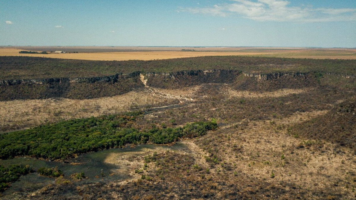 Governo monta força-tarefa para conter desmatamento no Cerrado