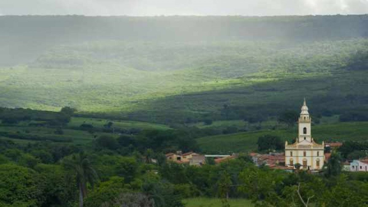 Em busca das peças saqueadas: fósseis extraídos ilegalmente do Ceará ...
